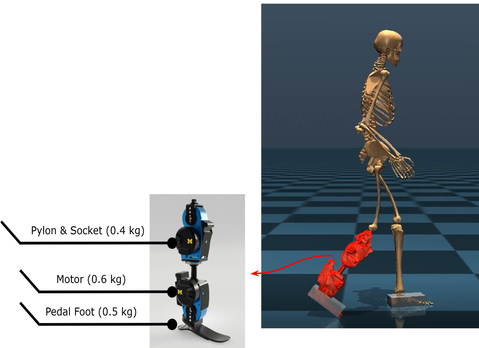 A Comparative Study of Imitation and Reinforcement Learning for Transtibial Prosthesis Control ...